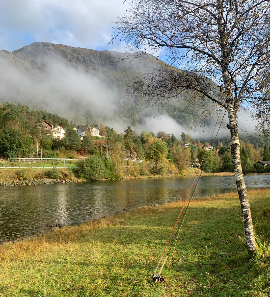 Fiskerejse - Suldalslågen - uge 39 - Øvre Hiim/Skoti – Atlantic Salmon ...